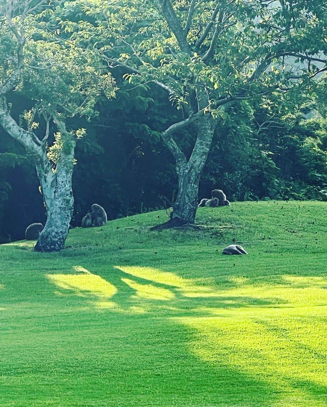 窪塚洋介さんのインスタグラム写真 - (窪塚洋介Instagram)「Apple Tree Gang🍎 〜Course Ⅱ Coast〜 宮崎 ...