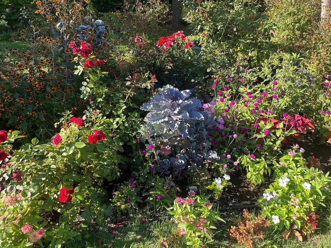 沖玲萌さんのインスタグラム - (沖玲萌@remoni_oki)