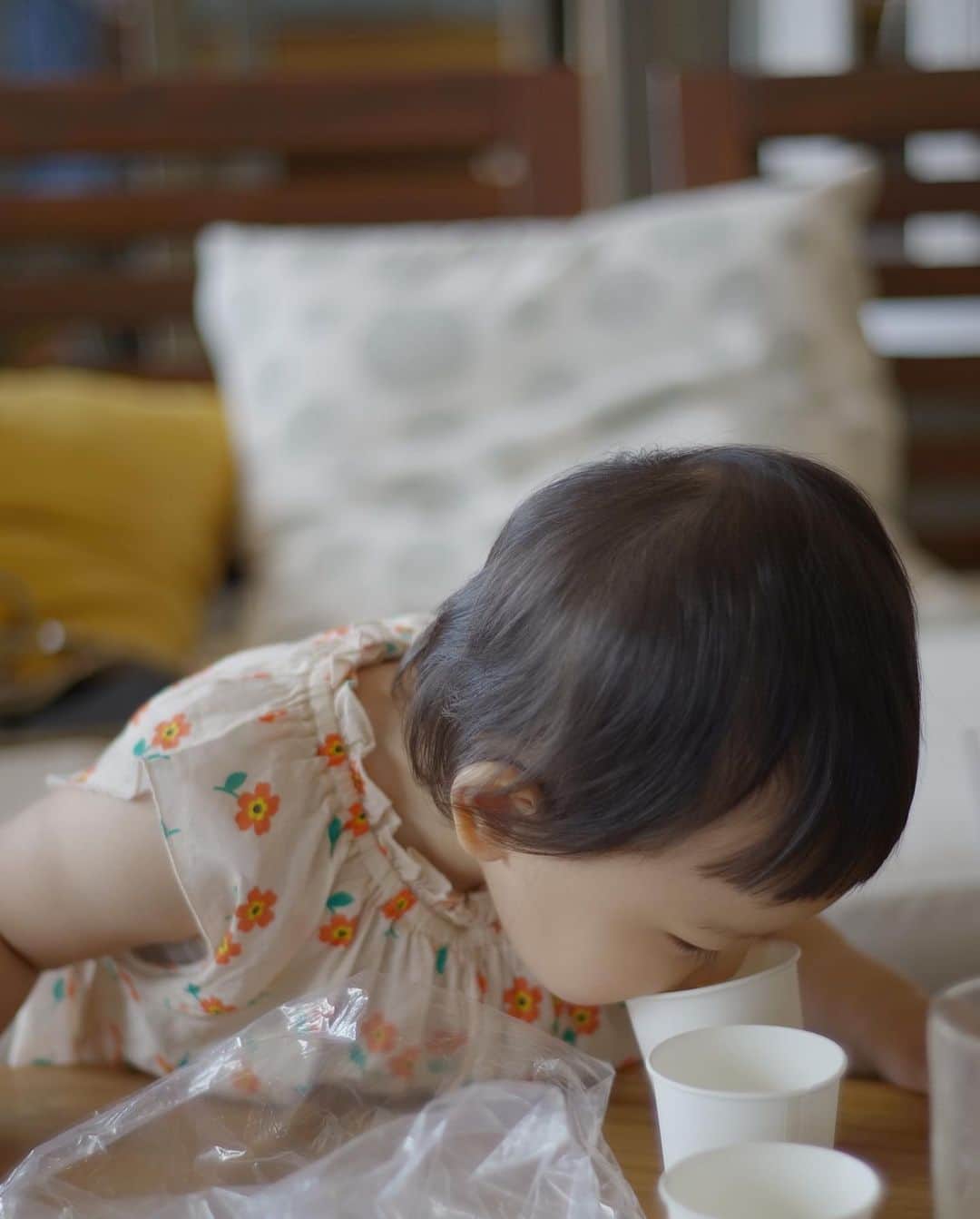 HALCAさんのインスタグラム写真 - (HALCAInstagram)「🌼📚🥛💭」7月31日 13時20分 - halca_