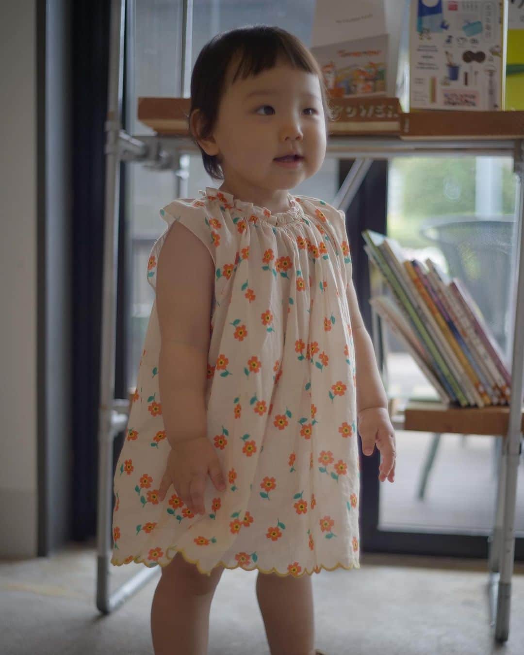 HALCAさんのインスタグラム写真 - (HALCAInstagram)「🌼📚🥛💭」7月31日 13時20分 - halca_