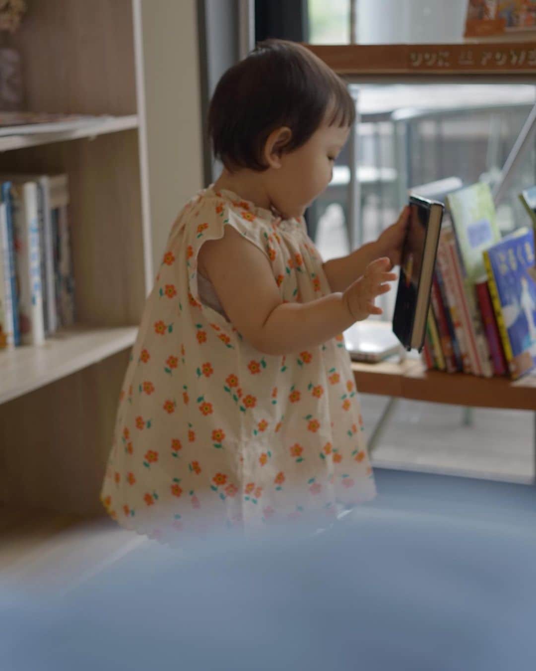 HALCAさんのインスタグラム写真 - (HALCAInstagram)「🌼📚🥛💭」7月31日 13時20分 - halca_