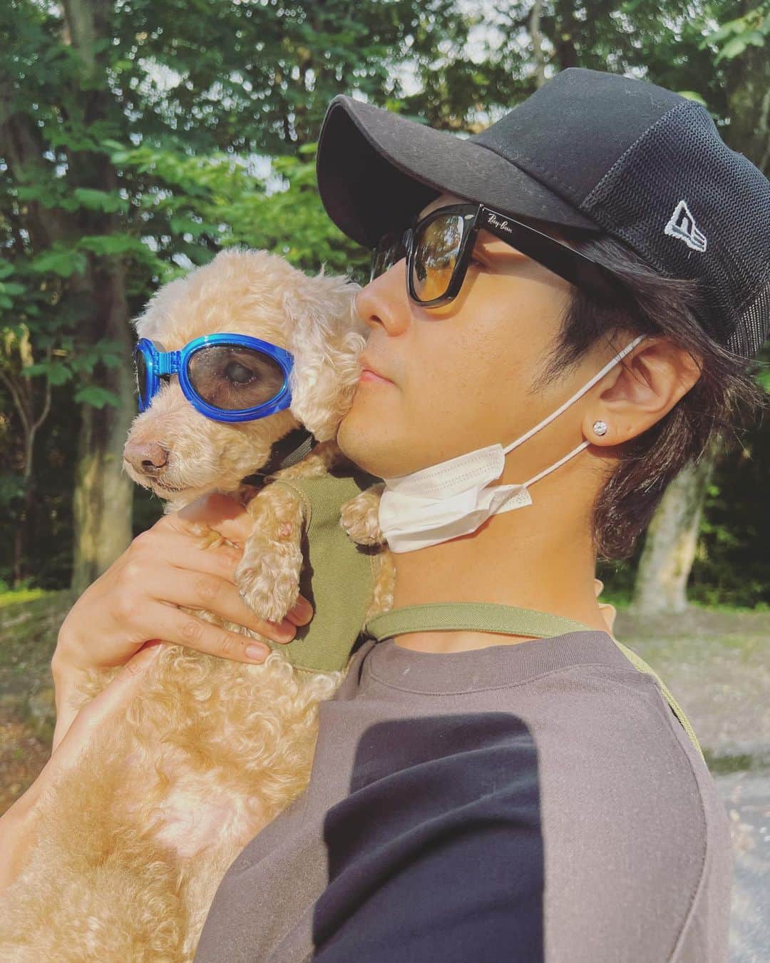 速水もこみちさんのインスタグラム写真 速水もこみちinstagram 「サングラスがとても似合ってるコロさんとモンローさん サングラス
