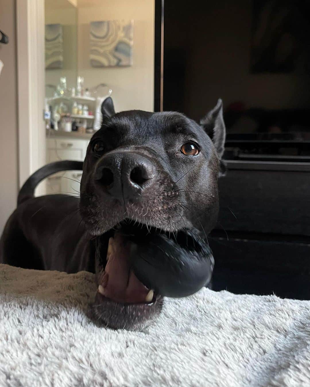 Paige Reillyさんのインスタグラム写真 - (Paige ReillyInstagram)「July was a good one ...