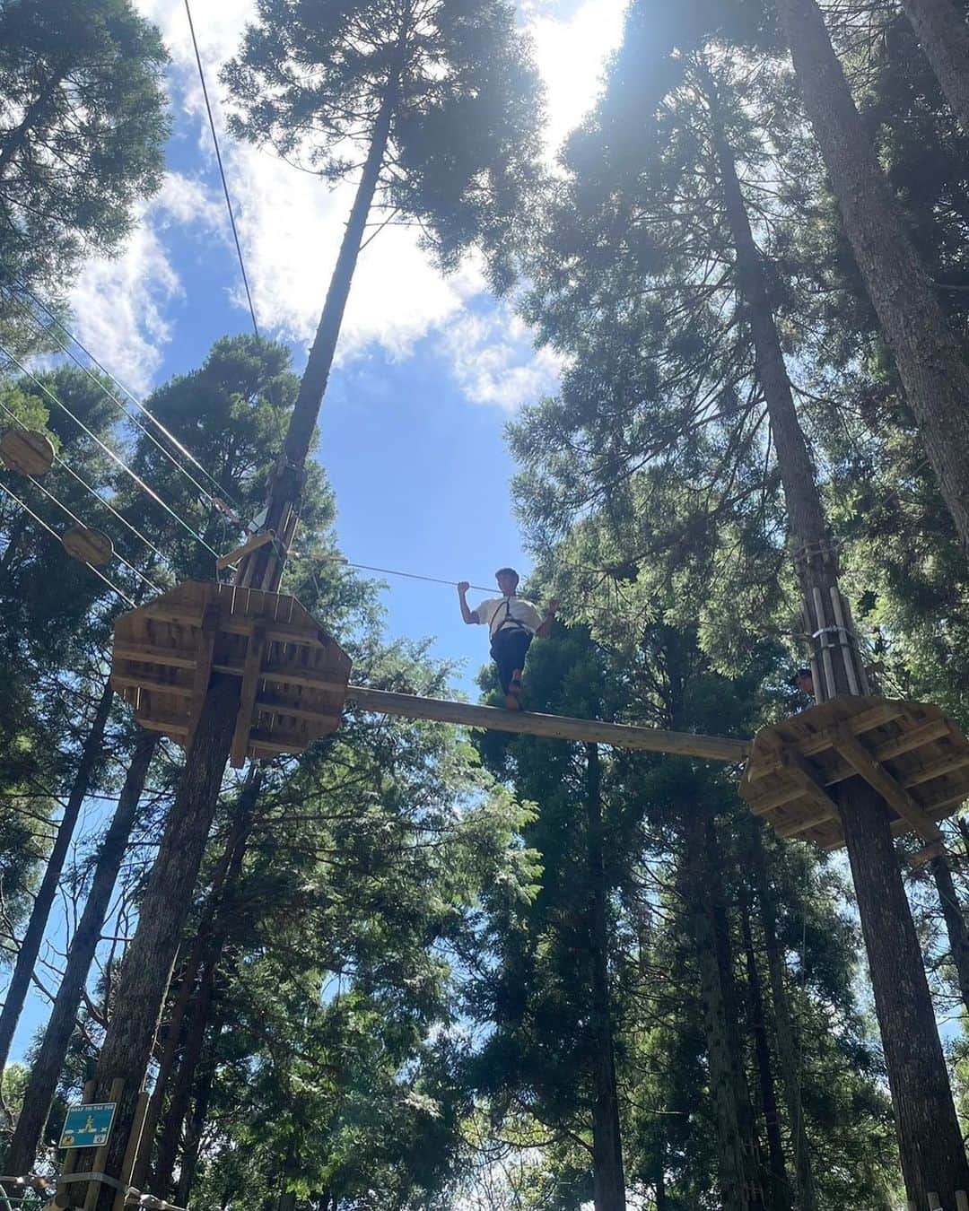 TBS「Nスタ」さんのインスタグラム写真 - (TBS「Nスタ」Instagram)「昨日のすたすた中継🚶は リソルの森「ターザニア」からお伝えしました🍃 大自然の中を滑り降りるジップラインや ...