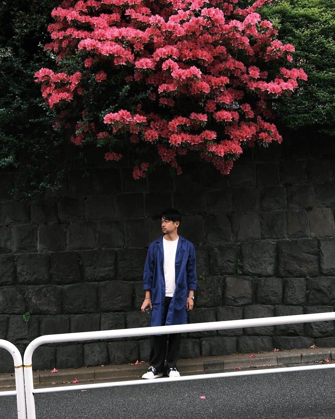 d-iZeさんのインスタグラム写真 - (d-iZeInstagram)「#青森おじさんぽ 特別編③ 谷根千エリア／東京都文京区 Photo by 中澤紘大 @_k.taa ※好きな写真あっ ...