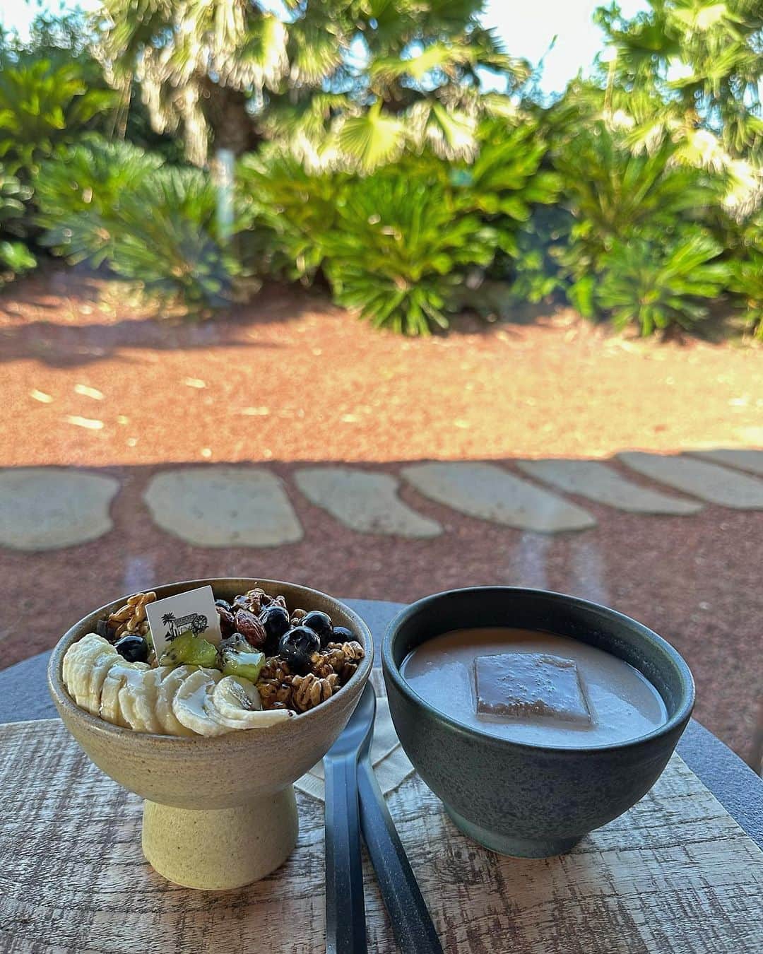 COCO さんのインスタグラム写真 - (COCO Instagram)「🦢🐶 친해지지 못한 제주도 친구들..🥲 #제주도여행」8月16日 ...