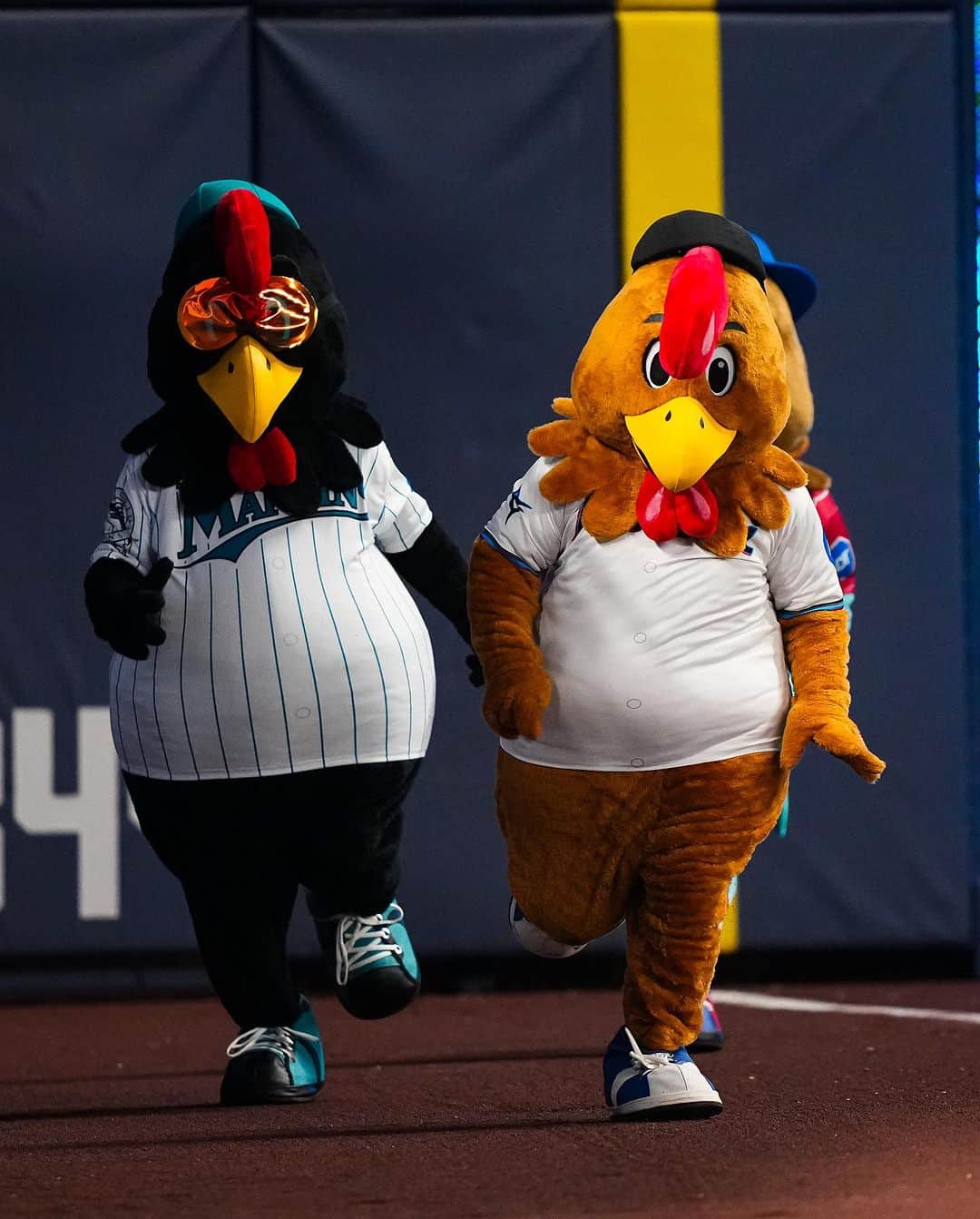 マイアミ・マーリンズさんのインスタグラム写真 - (マイアミ・マーリンズInstagram)「ICYMI: We have a Rooster ...