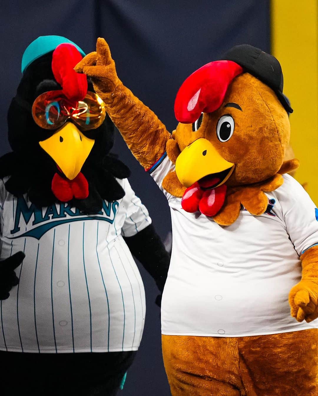 マイアミ・マーリンズさんのインスタグラム写真 - (マイアミ・マーリンズInstagram)「ICYMI: We have a Rooster ...