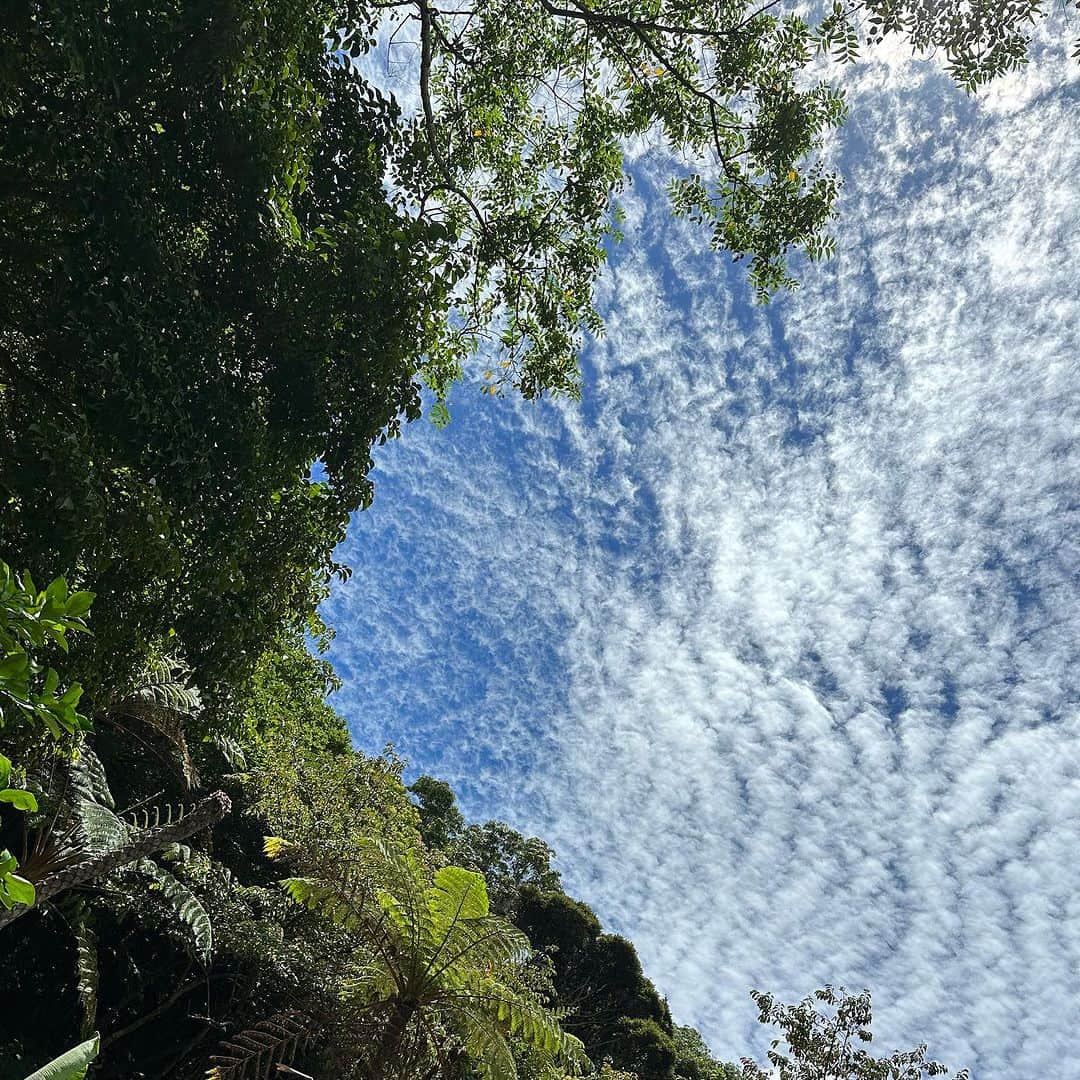 原つむぎさんのインスタグラム写真 - (原つむぎInstagram)「空を見上げることにハマってます☺️🩵笑」8月2日 18時47分 ...