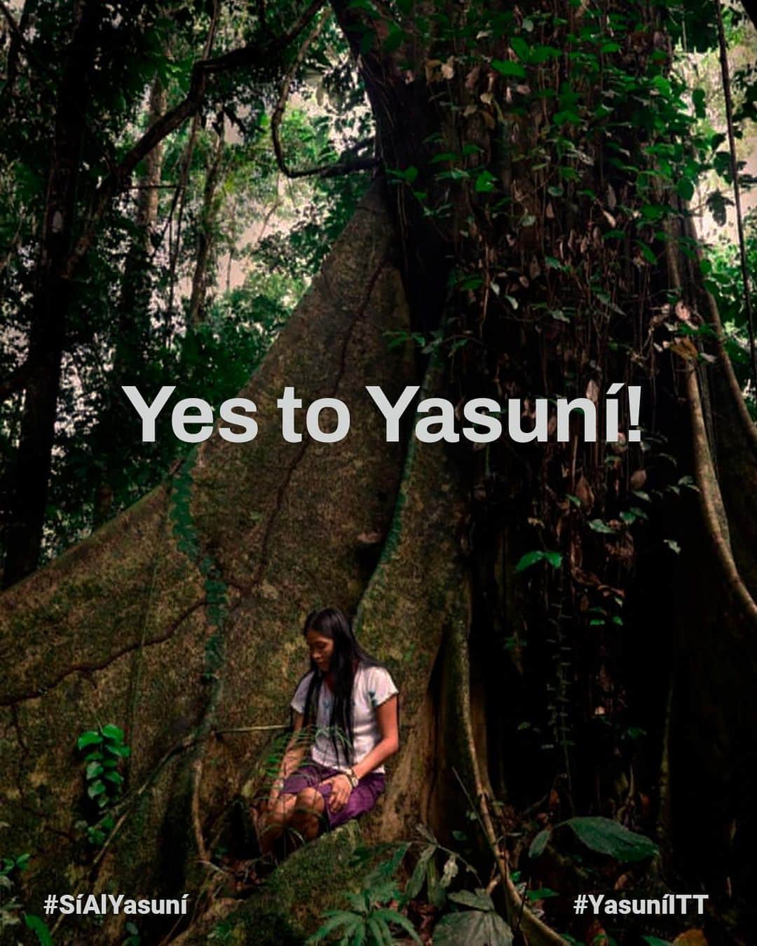レオナルド・ディカプリオさんのインスタグラム写真 - (レオナルド・ディカプリオInstagram)「Yasuní National Park ...