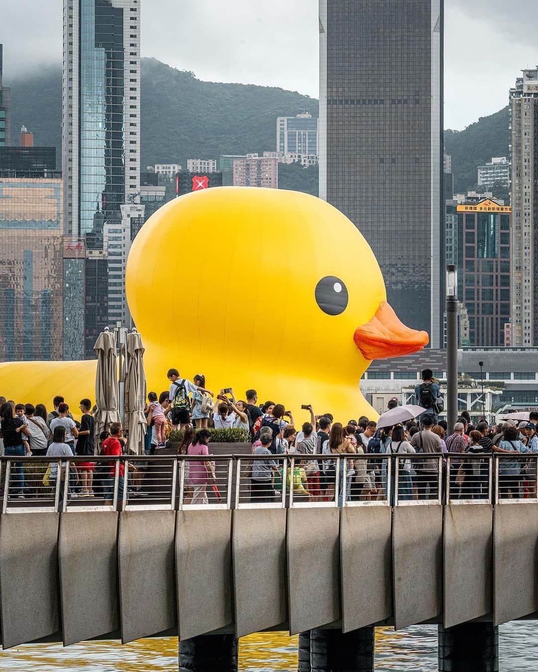 Earth Picsさんのインスタグラム写真 - (Earth PicsInstagram)「@jarvisl.photography —In ...