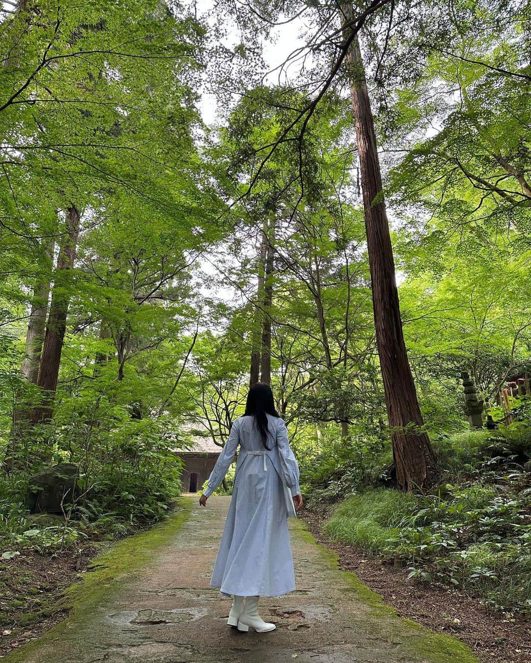 富田鈴花さんのインスタグラム写真 - (富田鈴花Instagram)「清らか〜 #趣味どきっ #suzygram」8月8日 16時40分 - suzy.tomita