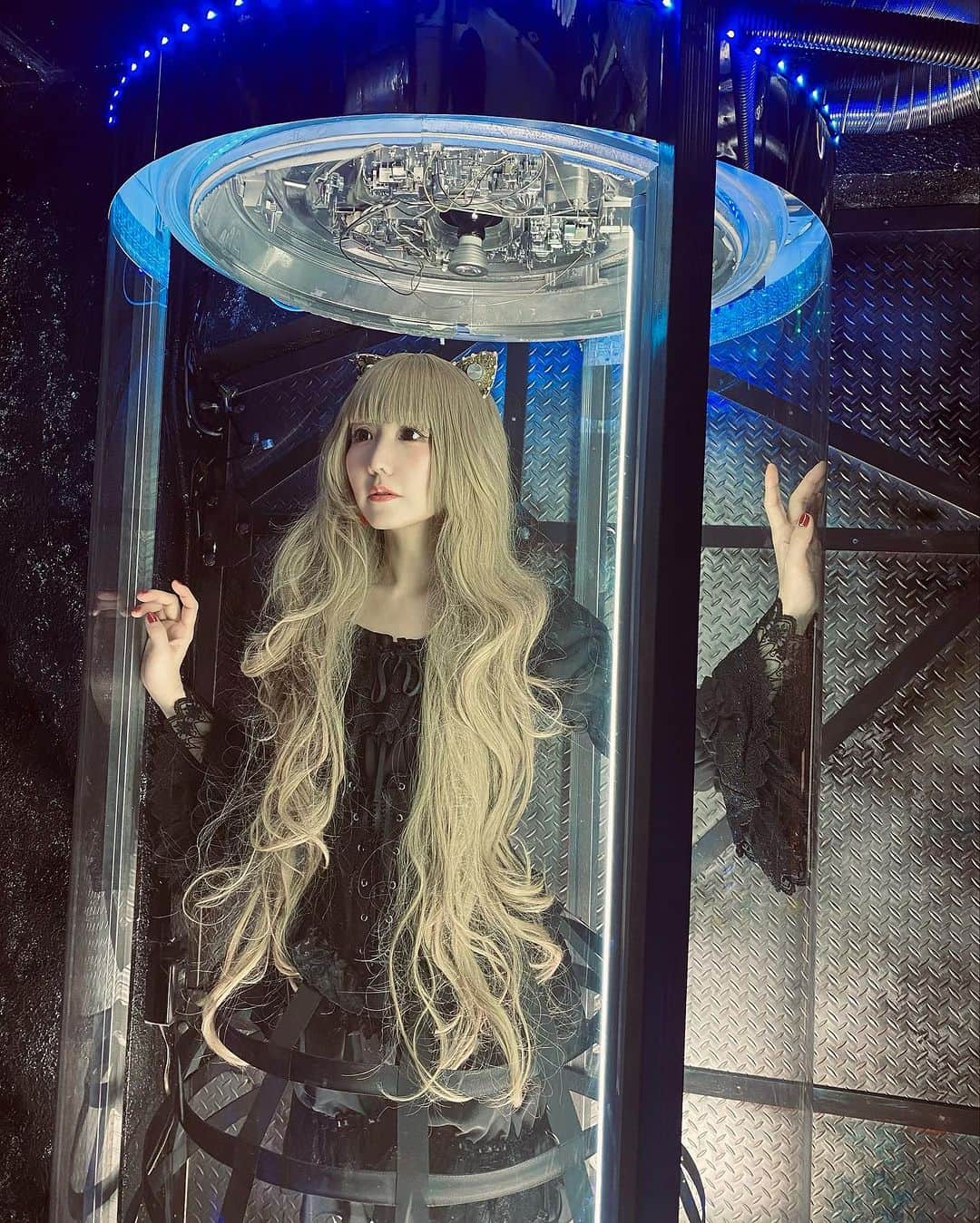 yucat（加藤有加利）さんのインスタグラム写真 - (yucat（加藤有加利）Instagram)「#コルセットの日＋#世界猫の日＝#yucat 今年もやってきました88 気付けば大量の ...