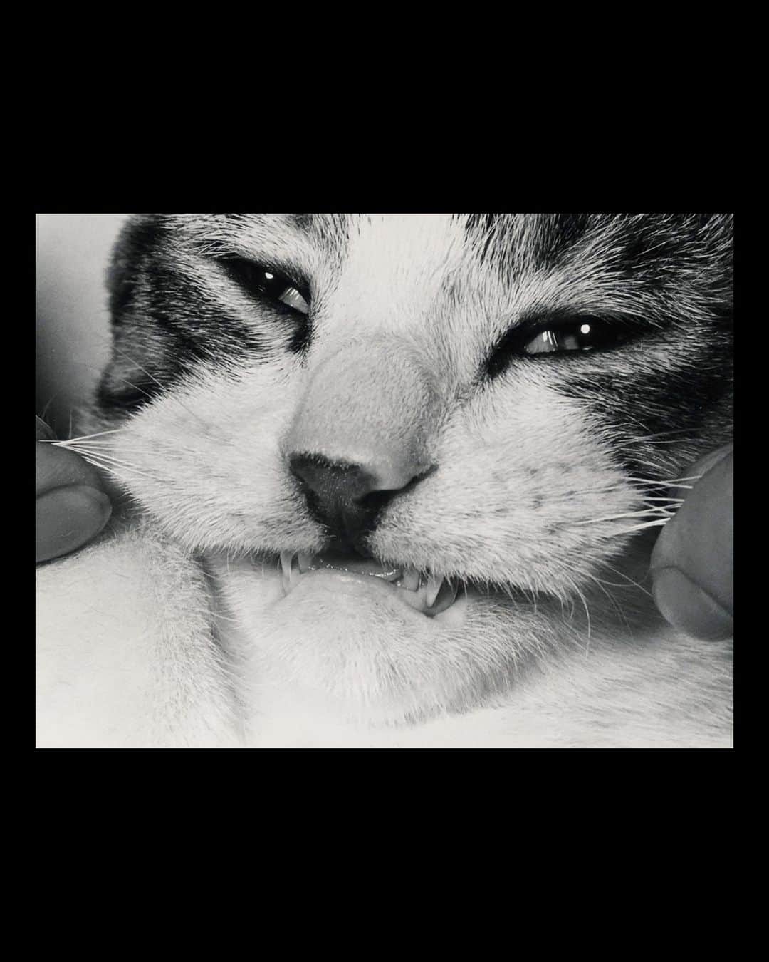 i-Dさんのインスタグラム写真 - (i-DInstagram)「#MasahisaFukase is at once a legend ...