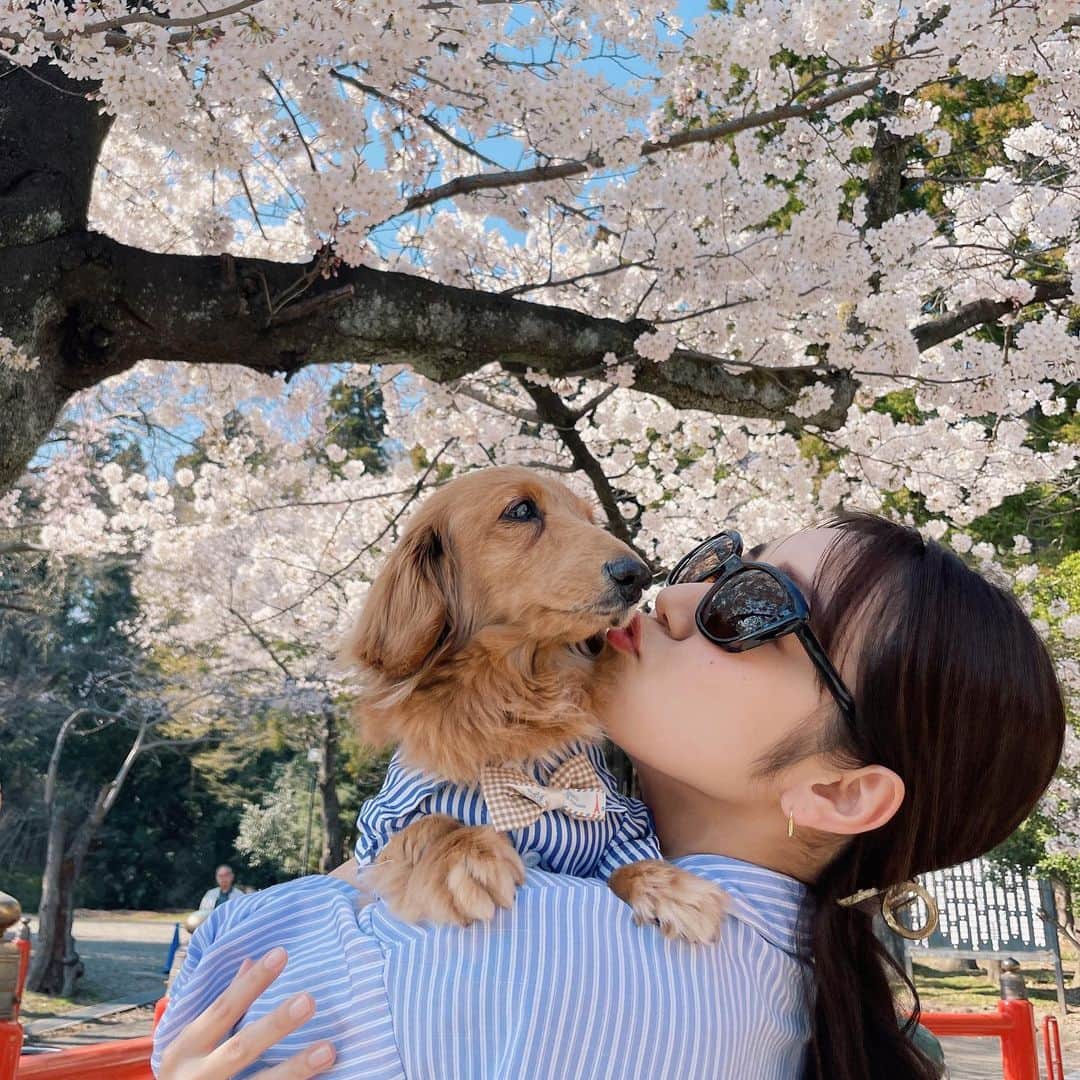 荒谷江莉香さんのインスタグラム - (荒谷江莉香@erika.araya.s2)