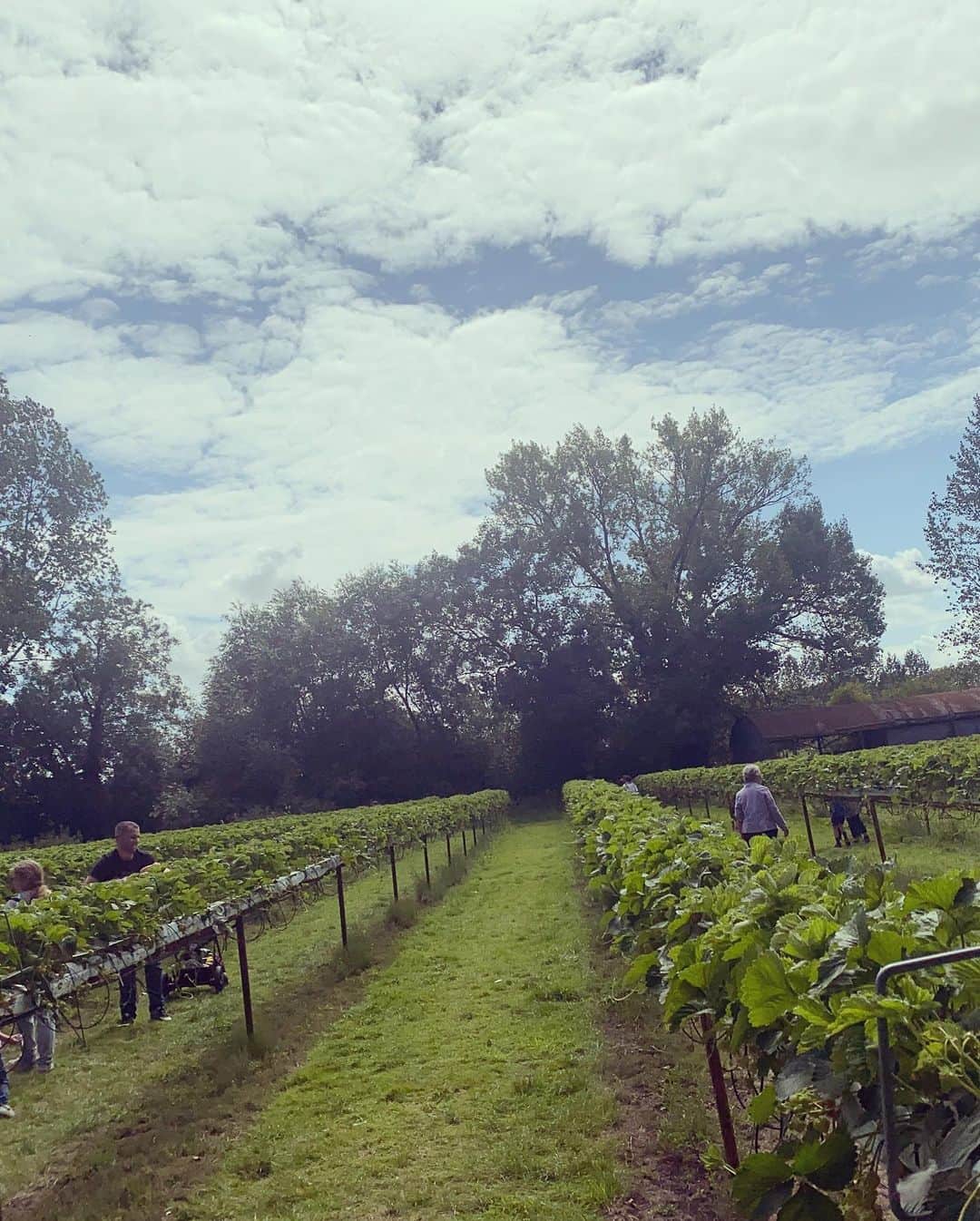 田添菜穂子さんのインスタグラム写真 - (田添菜穂子Instagram)「Visited My English teacher Jessica ...