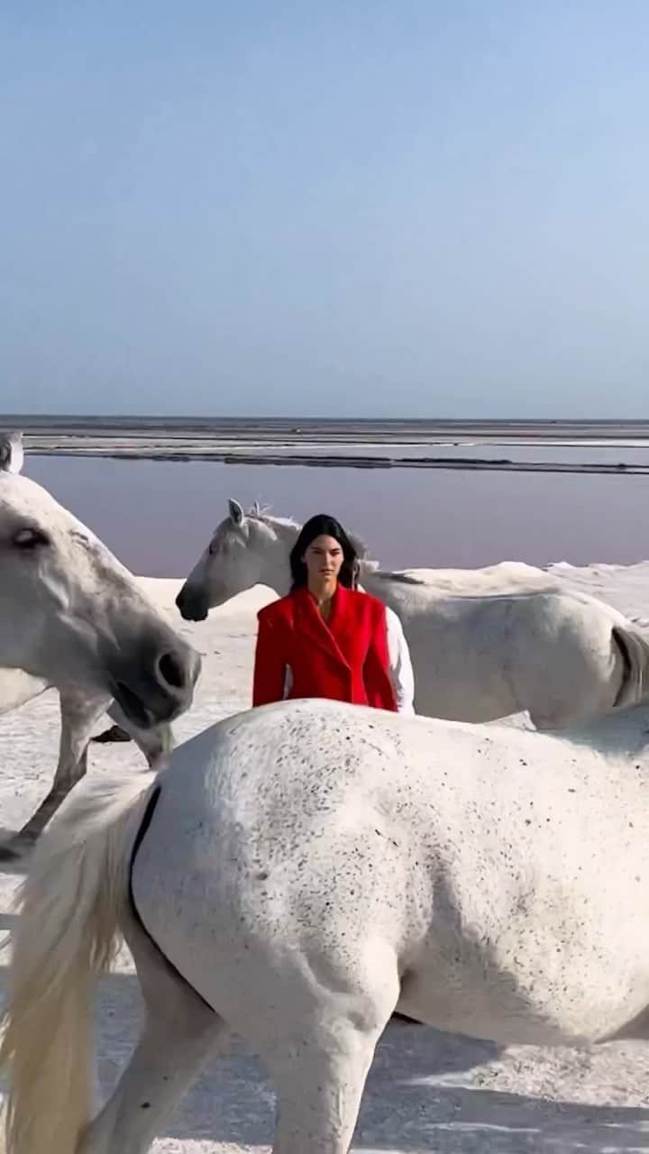 ステラ・マッカートニーさんのインスタグラム動画 - (ステラ・マッカートニーInstagram)「SHOT BY STELLA: Which ...