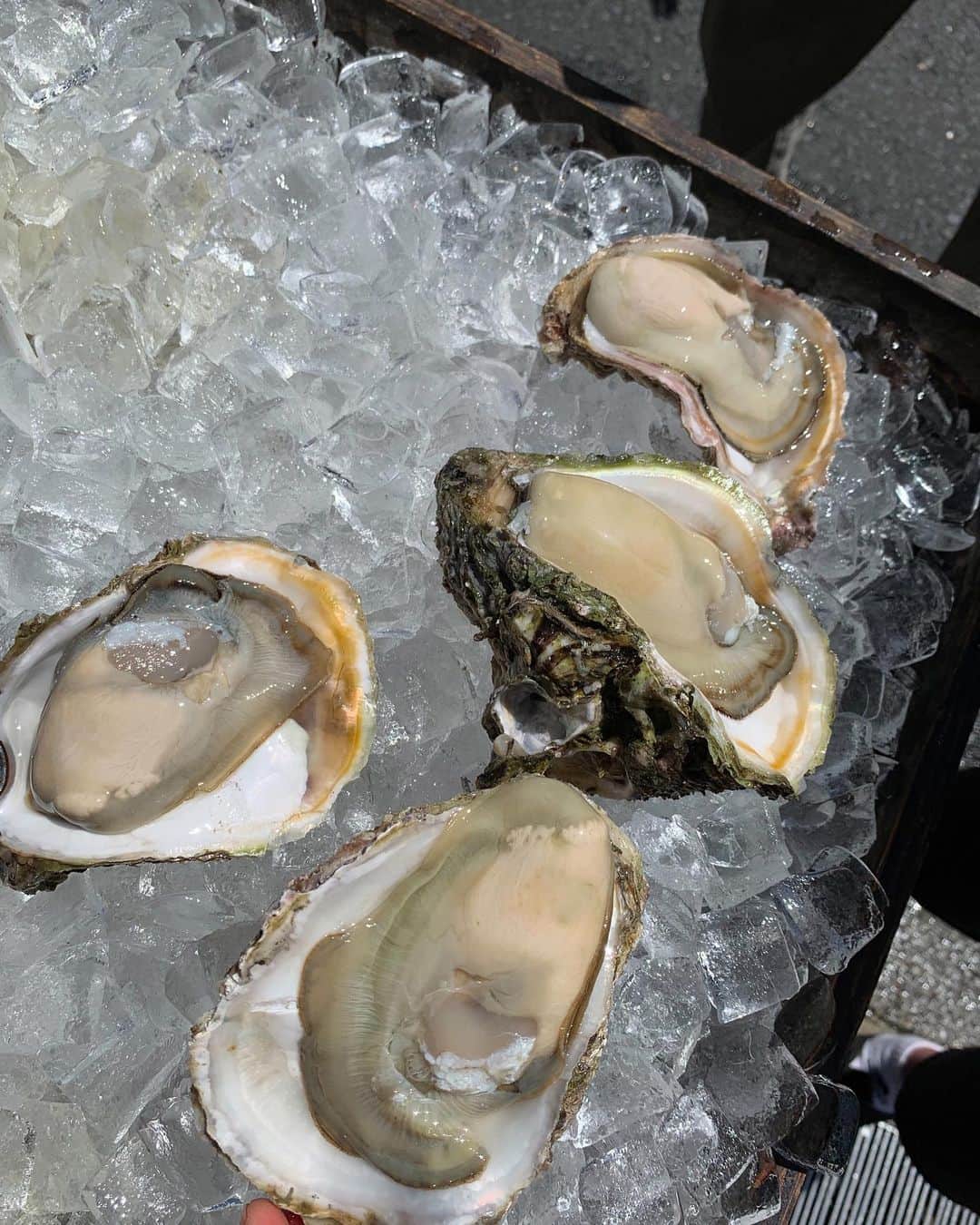 職人.comさんのインスタグラム写真 - (職人.comInstagram)「【那珂湊おさかな市場で天然の岩牡蠣を】 岩牡蠣の旬は夏。牡蠣と ...