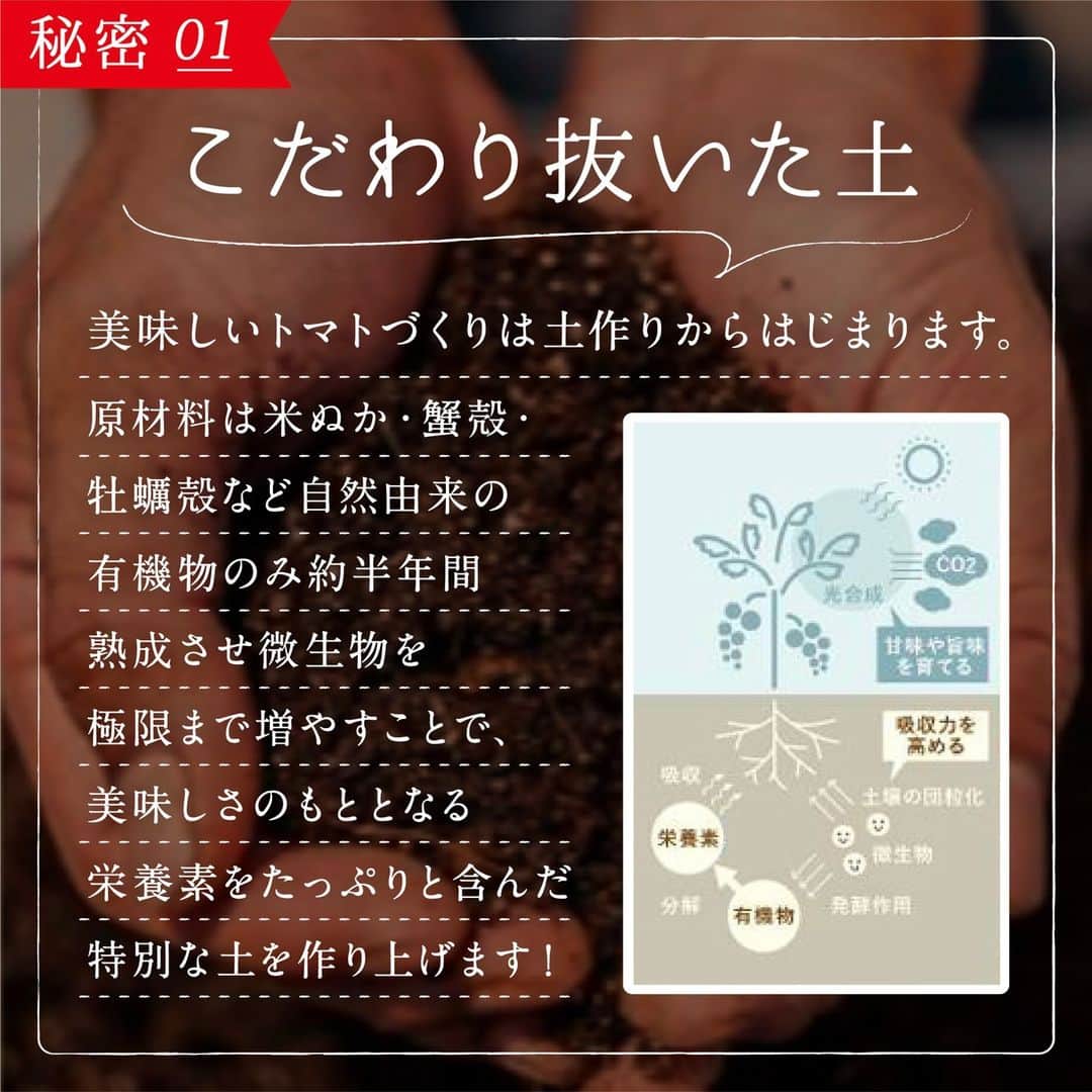 OSMIC【オスミックトマト公式】さんのインスタグラム写真 - (OSMIC【オスミックトマト公式】Instagram)「 他の投稿も気になる ...