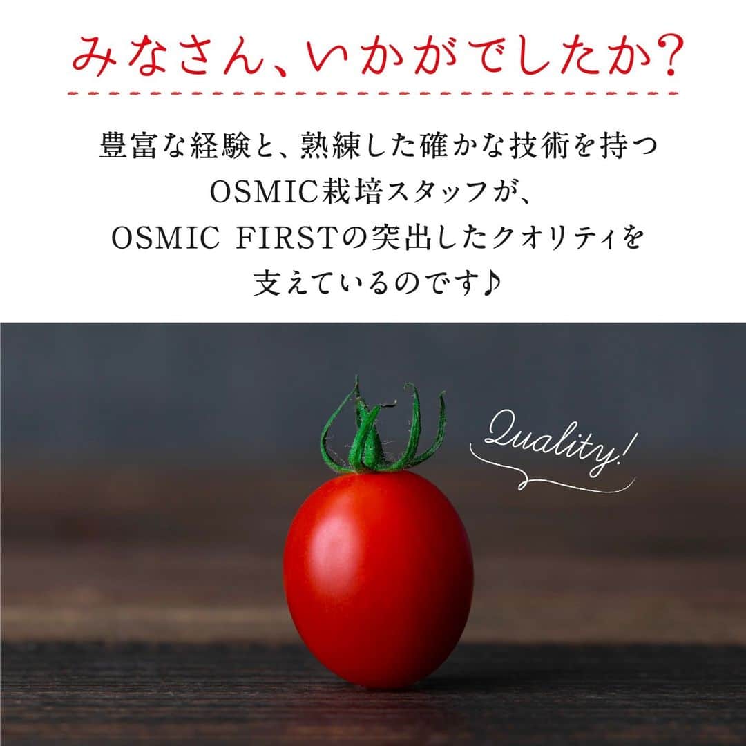 OSMIC【オスミックトマト公式】さんのインスタグラム写真 - (OSMIC【オスミックトマト公式】Instagram)「 他の投稿も気になる ...