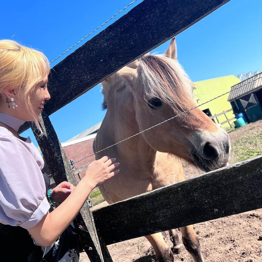 MIRIさんのインスタグラム - (MIRI@misaka_milloy)