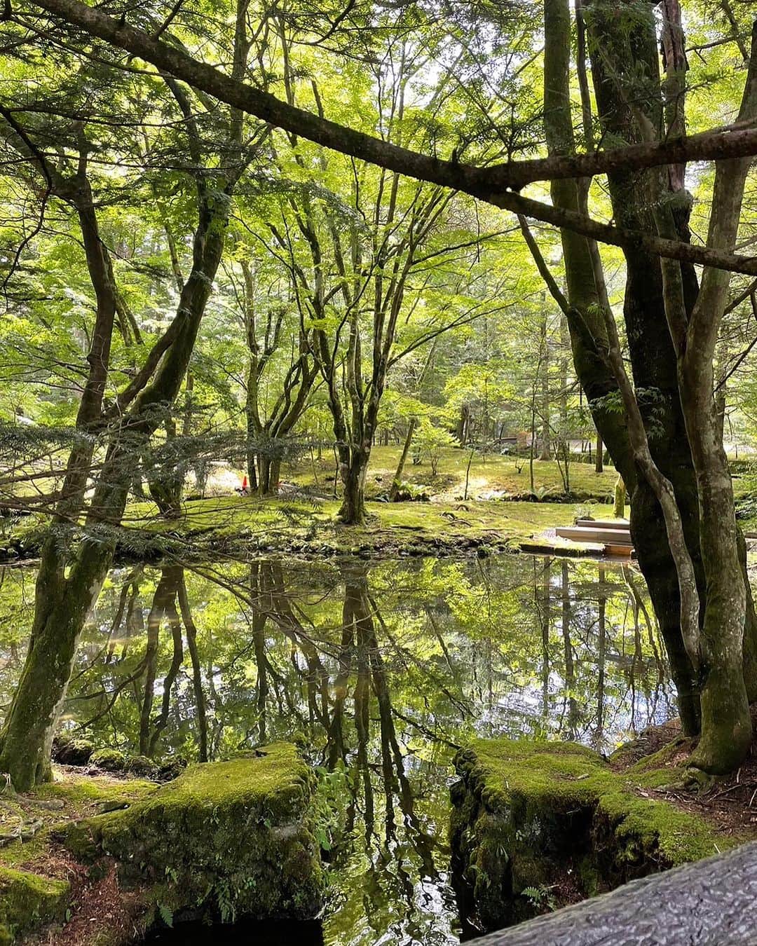 天明麻衣子さんのインスタグラム写真 - (天明麻衣子Instagram)「だいぶ前だけど軽井沢行ってきました！ やはり東京とは気温、湿度とも ...