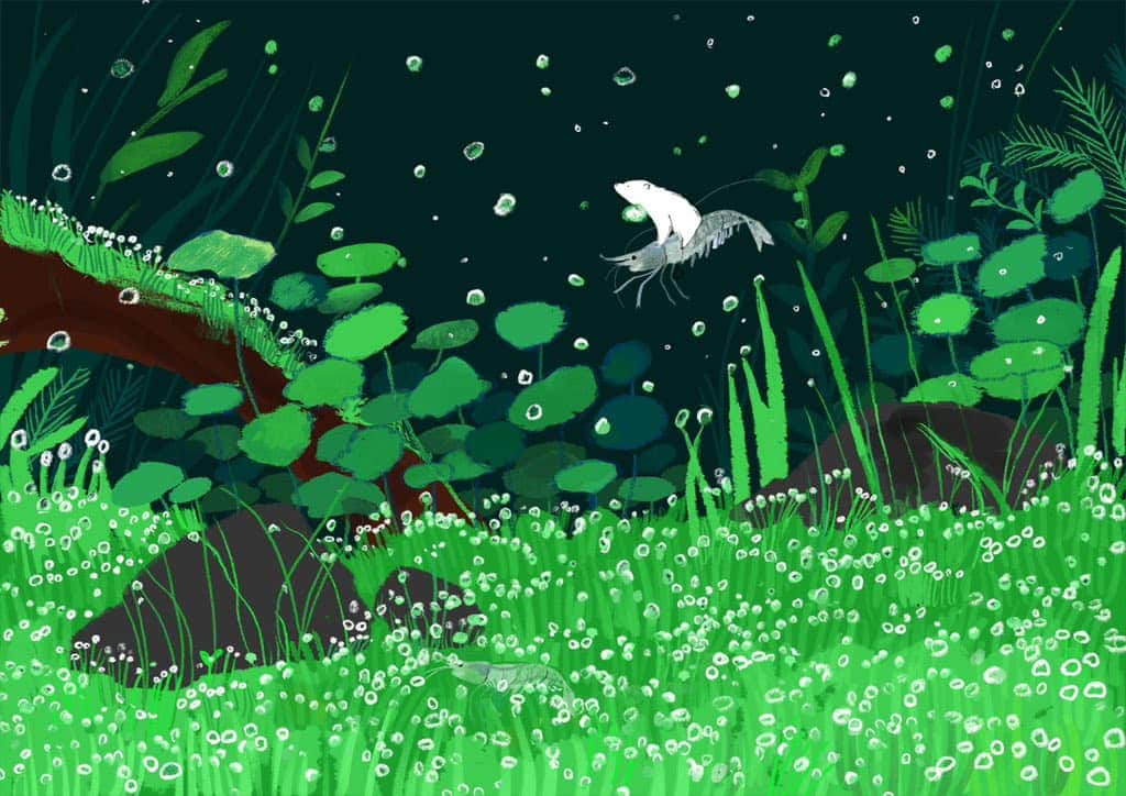 momoroさんのインスタグラム写真 - (momoroInstagram)8月18日 7時20分 - momoro6666