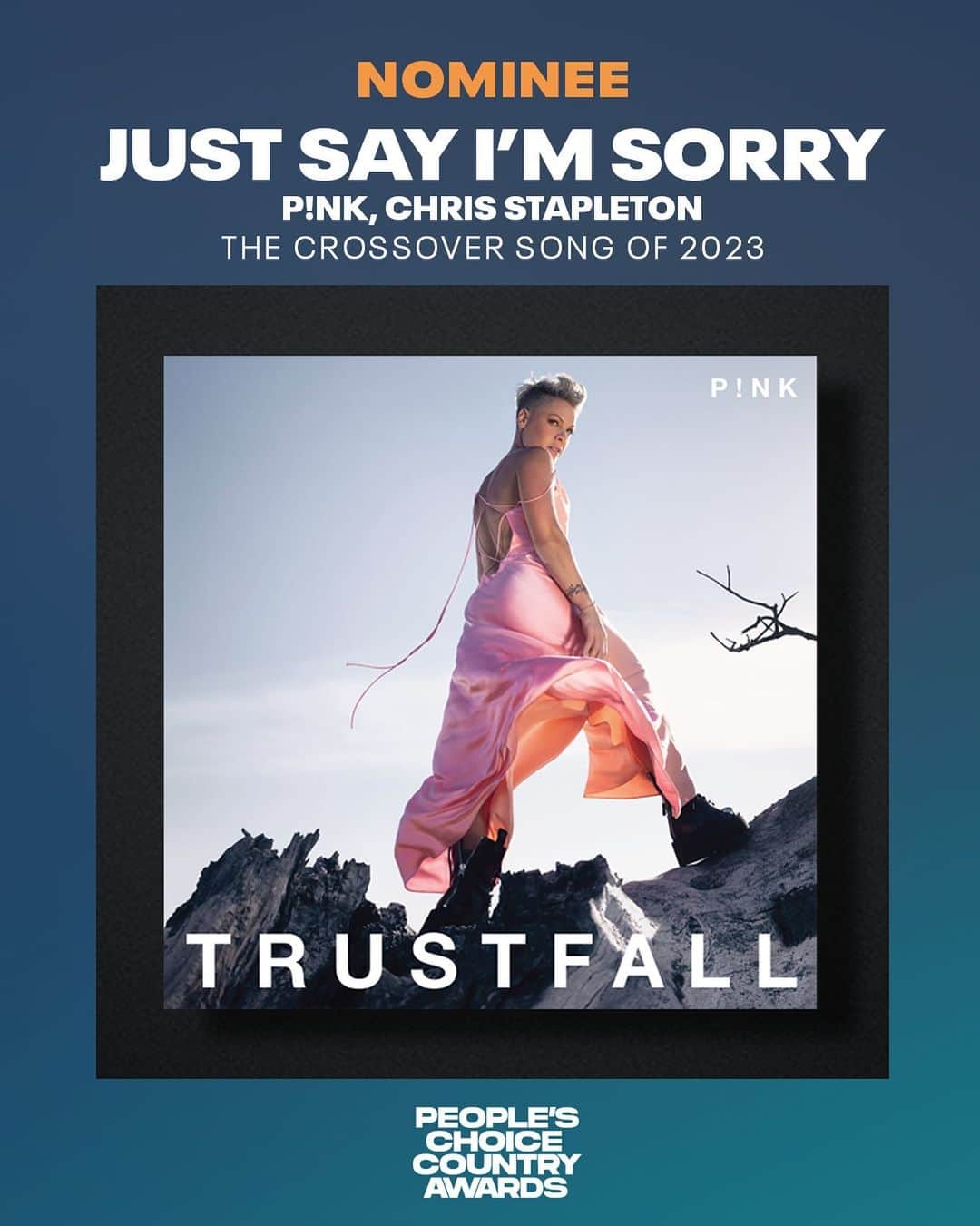 P!nk（ピンク）さんのインスタグラム写真 - (P!nk（ピンク）Instagram)「ONE OF THE FIRST-EVER ...