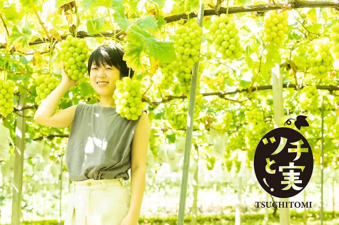 ツチと実さんのインスタグラム写真 - (ツチと実Instagram)「いつも、ぶどう農園『ツチと実』をご利用いただき誠に ありがとうございます ...