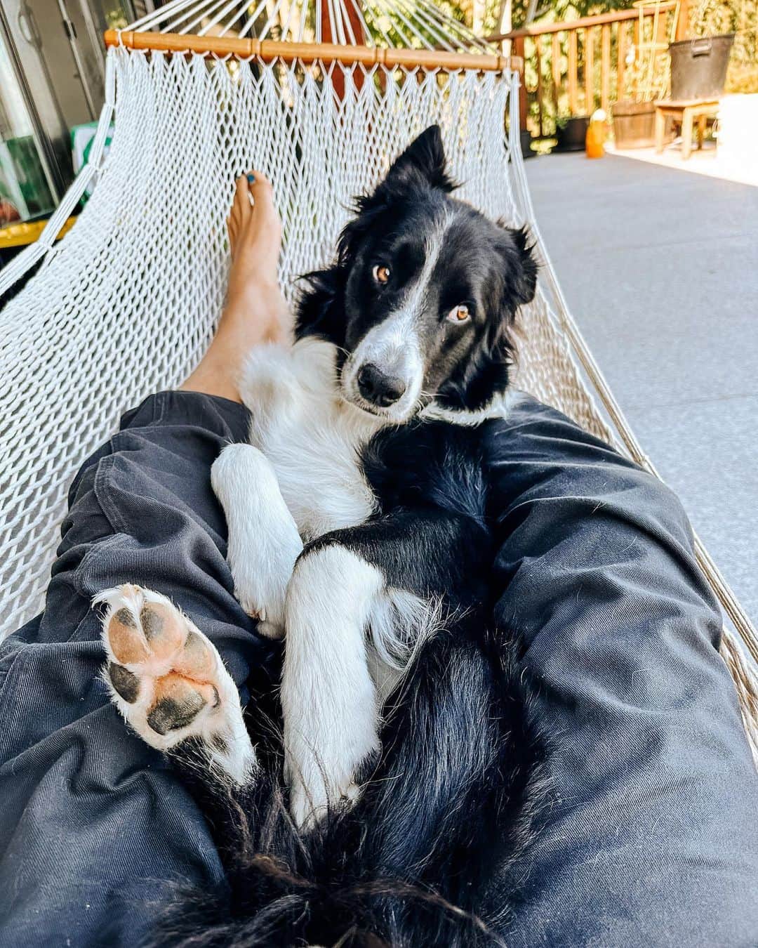 Andrew Knappさんのインスタグラム写真 - (Andrew KnappInstagram)「Summer Yaya」8月20日 5時 ...