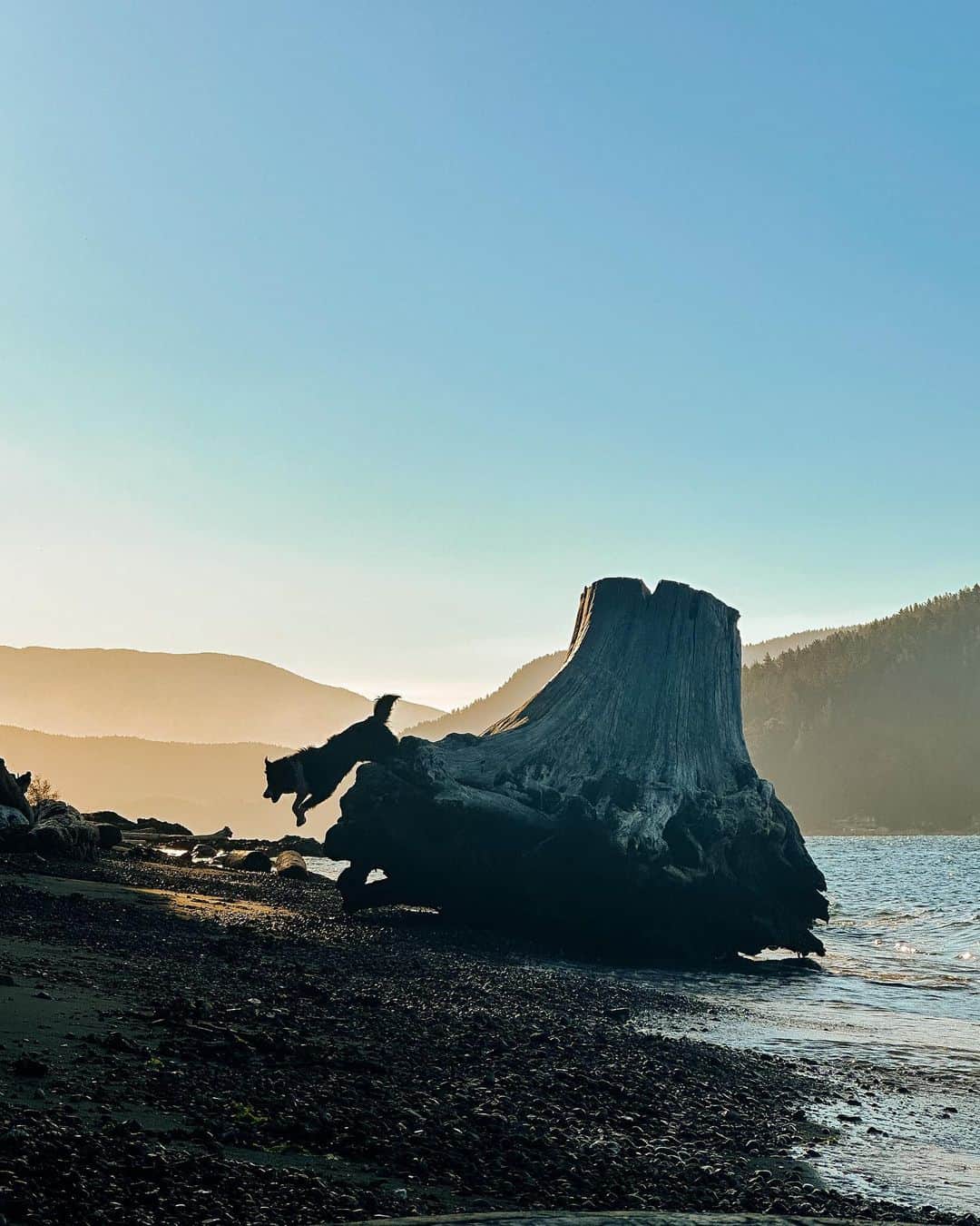 Andrew Knappさんのインスタグラム写真 - (Andrew KnappInstagram)「Summer Yaya」8月20日 5時 ...