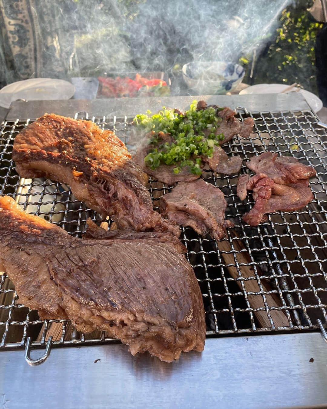 桜田聖子さんのインスタグラム写真 桜田聖子instagram 「今年はついに！テルマもプールデビューしましたー ️ 座っていればオッケー