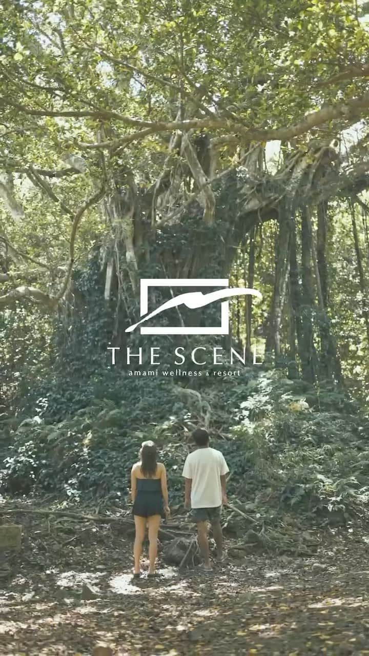HOTEL THE SCENE -ホテル ザ シーン- さんのインスタグラム動画 - (HOTEL THE SCENE -ホテル ザ シーン ...