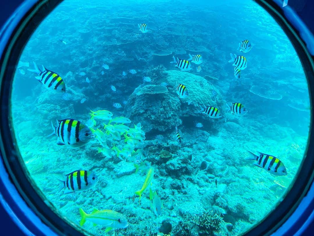 Be.okinawaさんのインスタグラム写真 - (Be.okinawaInstagram)「In Nago City, you can ...