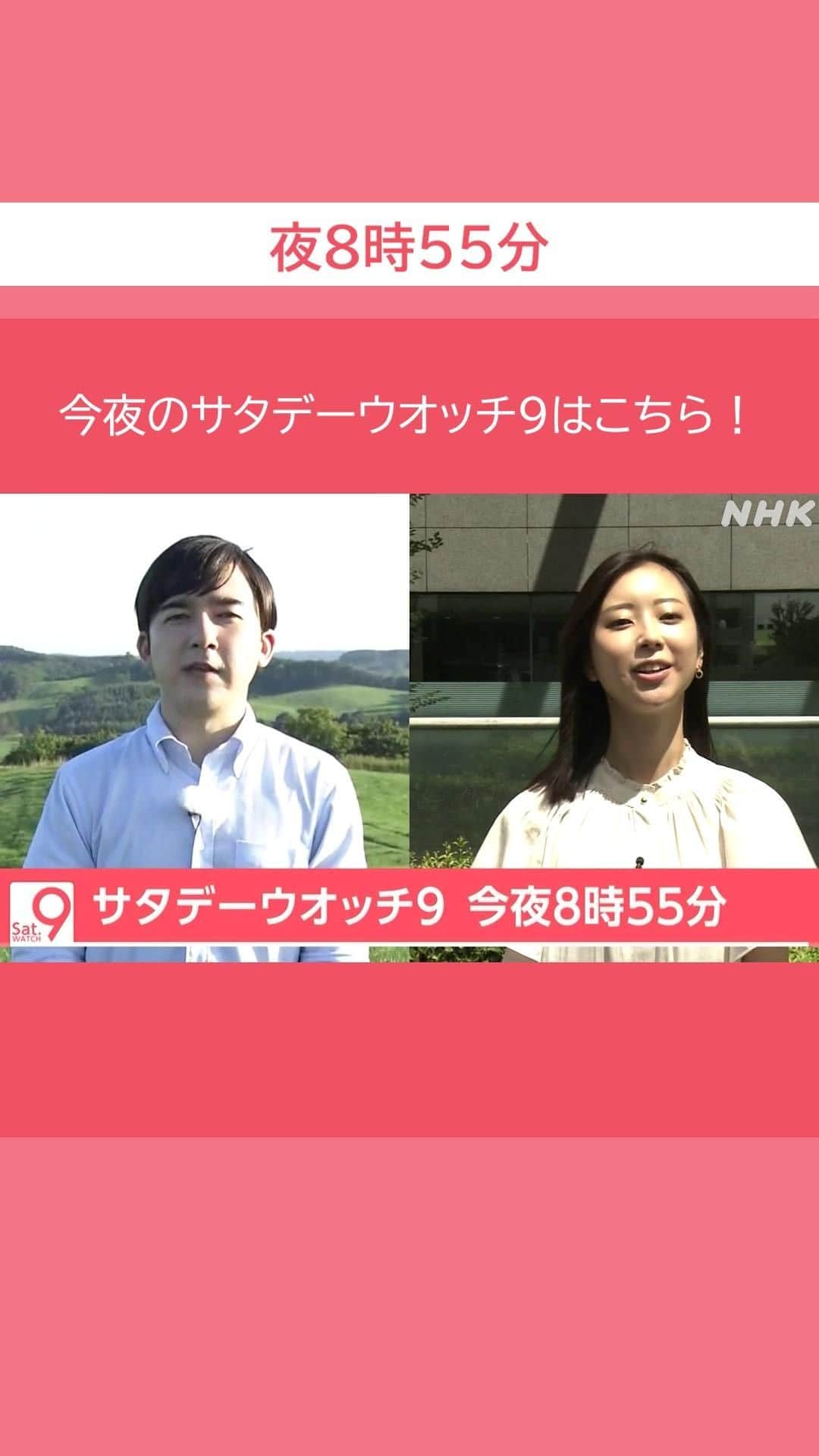 NHK「ニュースウオッチ9」さんのインスタグラム動画 - (NHK「ニュースウオッチ9」Instagram)「今夜の #サタデーウオッチ9 は まさかOSO18とは… 地元ハンターらが証言 ...