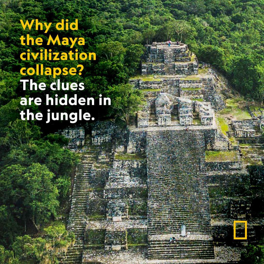 ナショナルジオグラフィックさんのインスタグラム写真 - (ナショナルジオグラフィックInstagram)「Read more at the ...