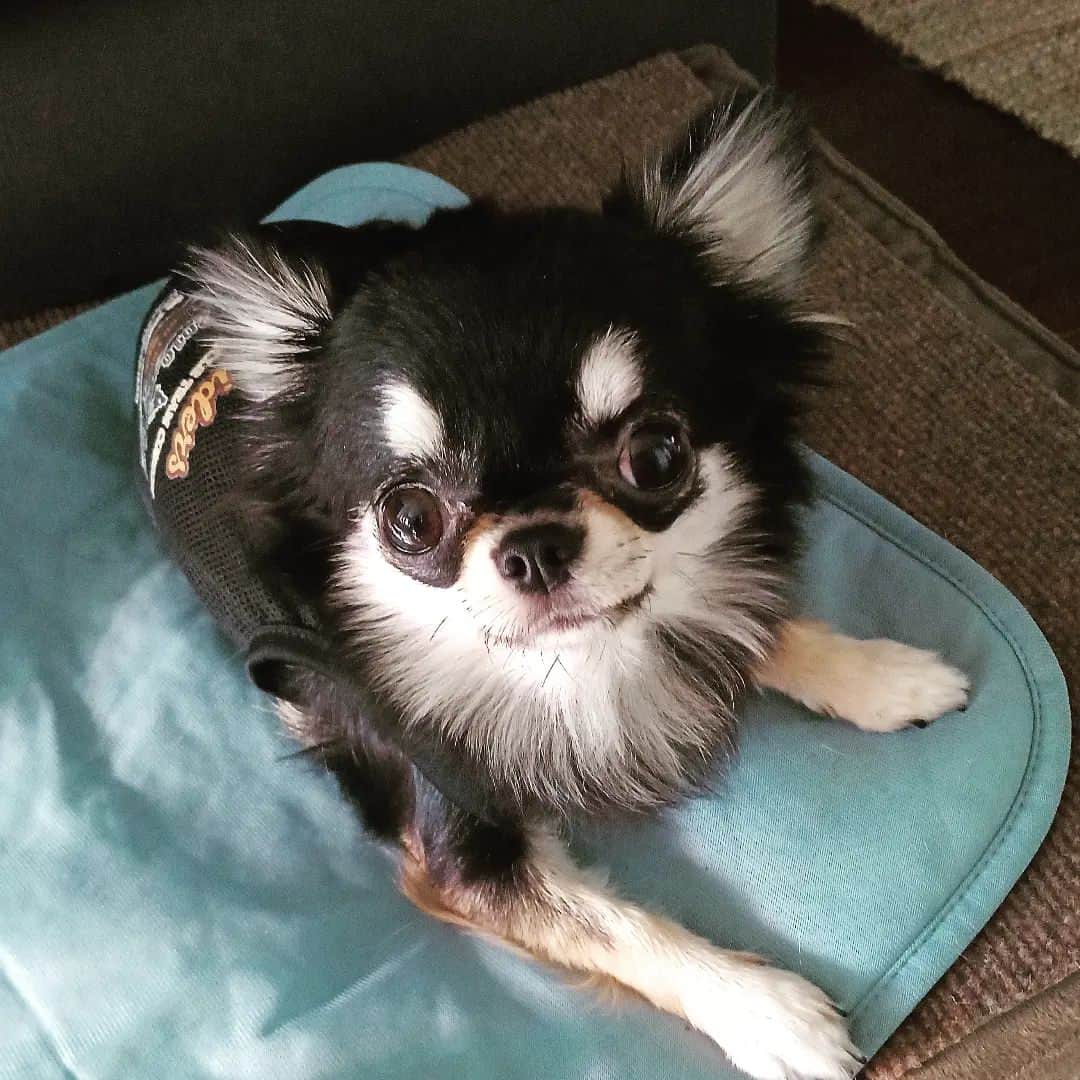 PaniCrewのInstagram - PaniCrewメンバーのインスタグラム