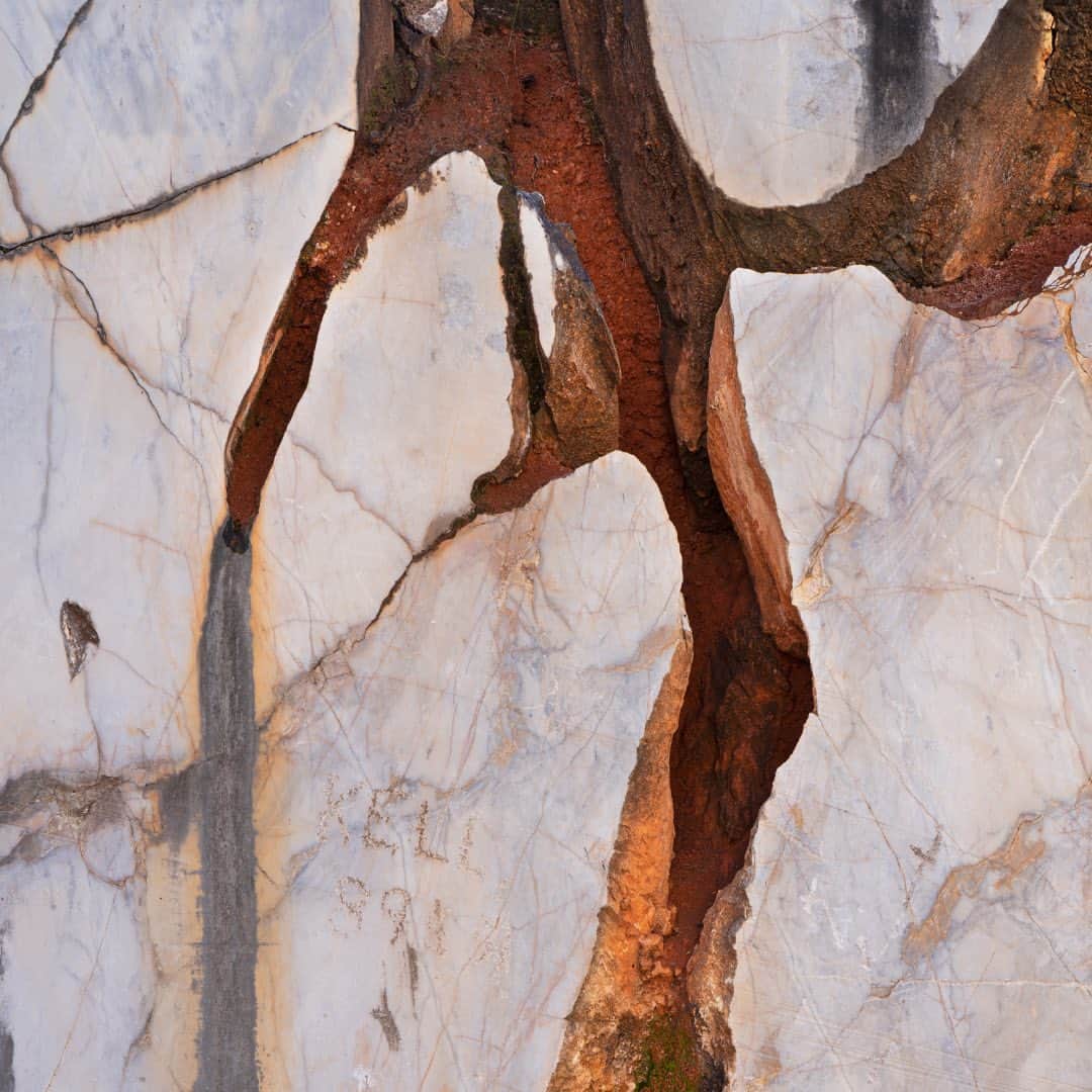 パワーハウスミュージアムさんのインスタグラム写真 - (パワーハウスミュージアムInstagram)「Industrial designer ...