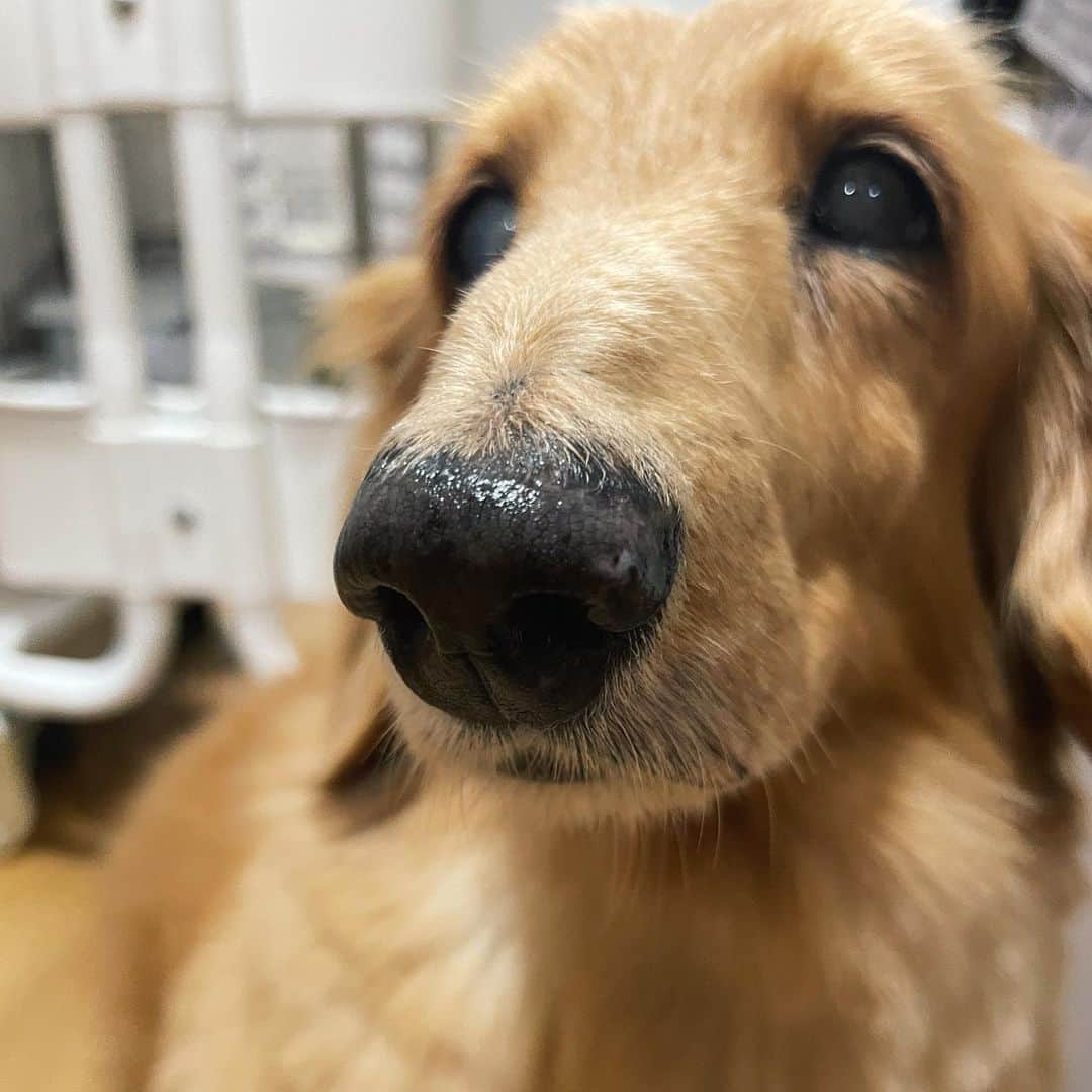 荒谷江莉香さんのインスタグラム - (荒谷江莉香@erika.araya.s2)