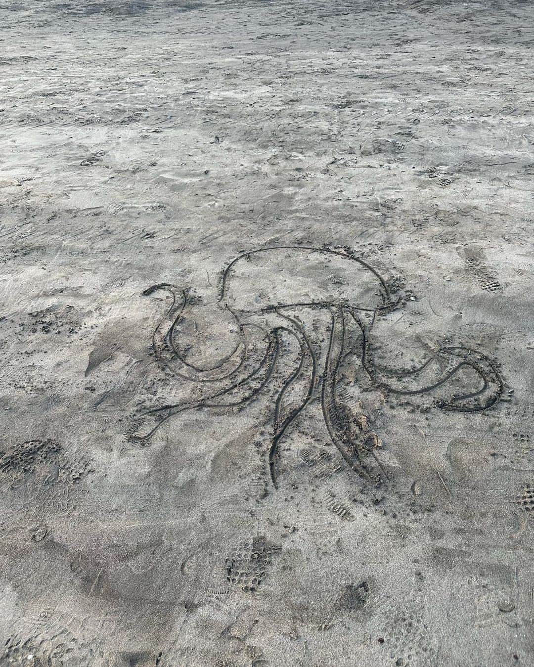 松川星さんのインスタグラム写真 - (松川星Instagram)「夕方の海落ち着く🪼🩵」8月31日 19時56分 - akarin__rin