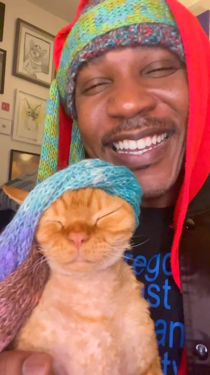 MSHO™(The Cat Rapper) さんのインスタグラム動画 - (MSHO™(The Cat Rapper) Instagram ...