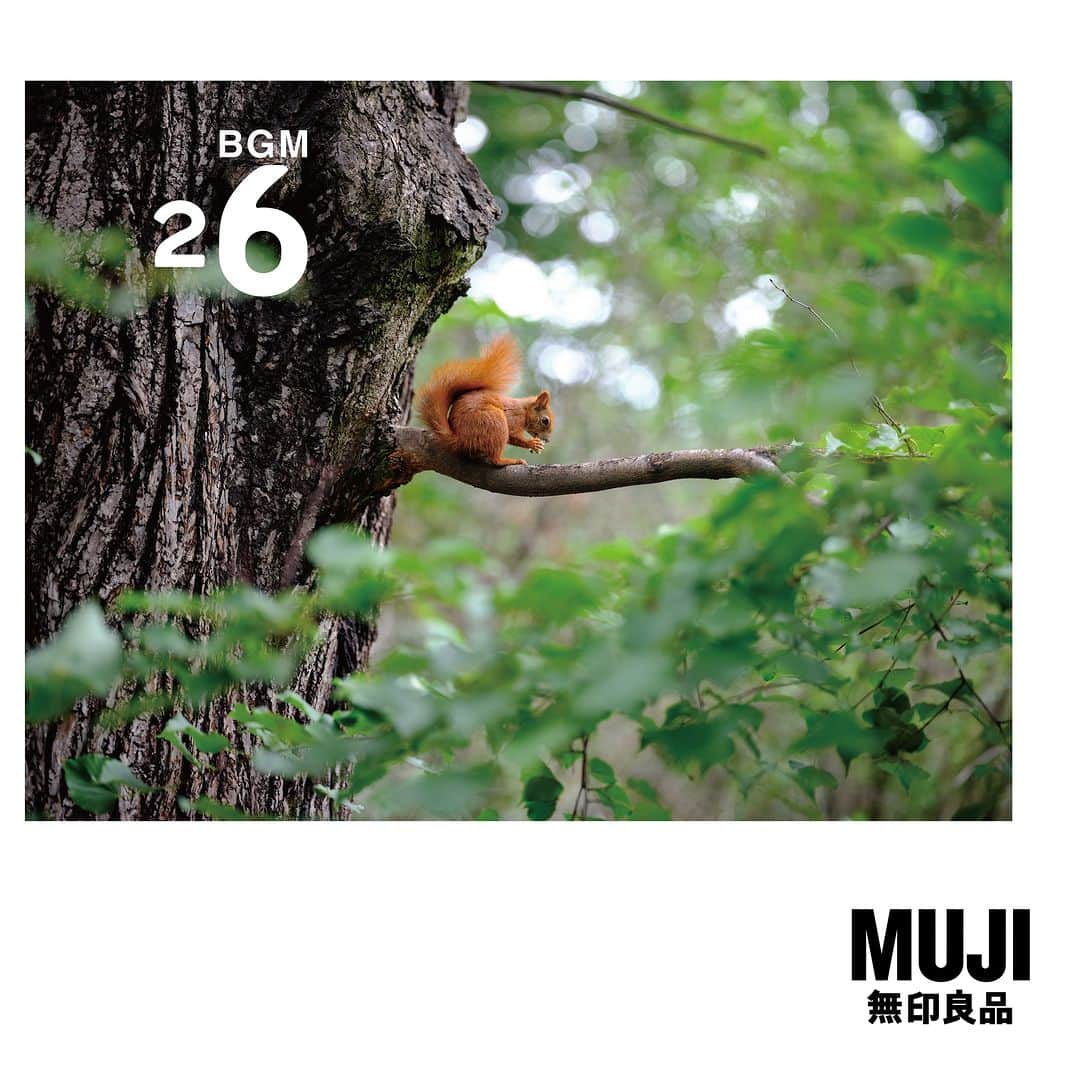 無印良品さんのインスタグラム写真 - (無印良品Instagram)「MUJI BGM プレイリスト「Autumn」の配信を開始しました - 過去の無印良品の店内で流れるBGMシリーズの中から ...
