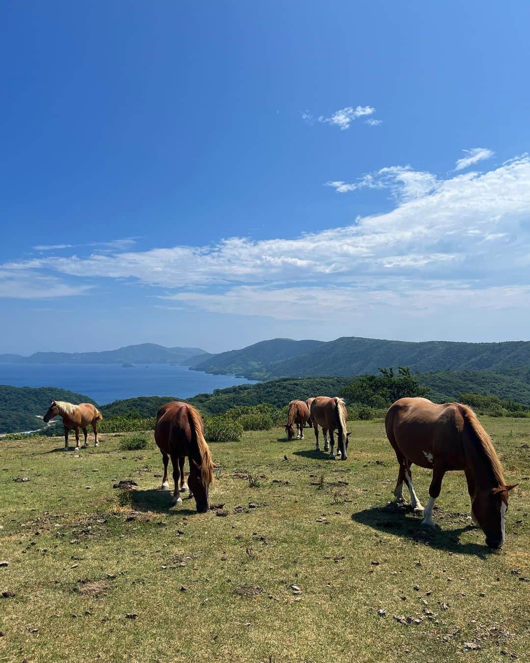 乙黒圭祐さんのインスタグラム写真 - (乙黒圭祐Instagram)「2023夏」9月2日 16時53分 - otosuke_16