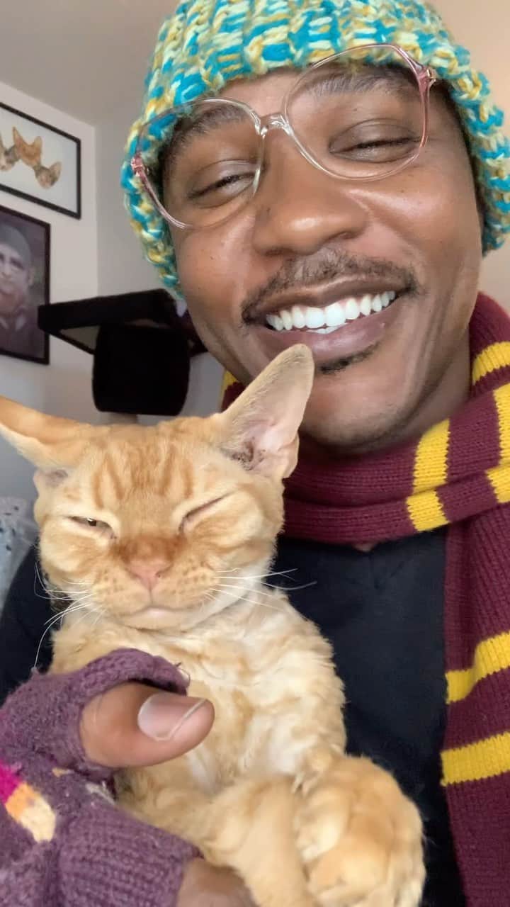 MSHO™(The Cat Rapper) さんのインスタグラム動画 - (MSHO™(The Cat Rapper) Instagram ...