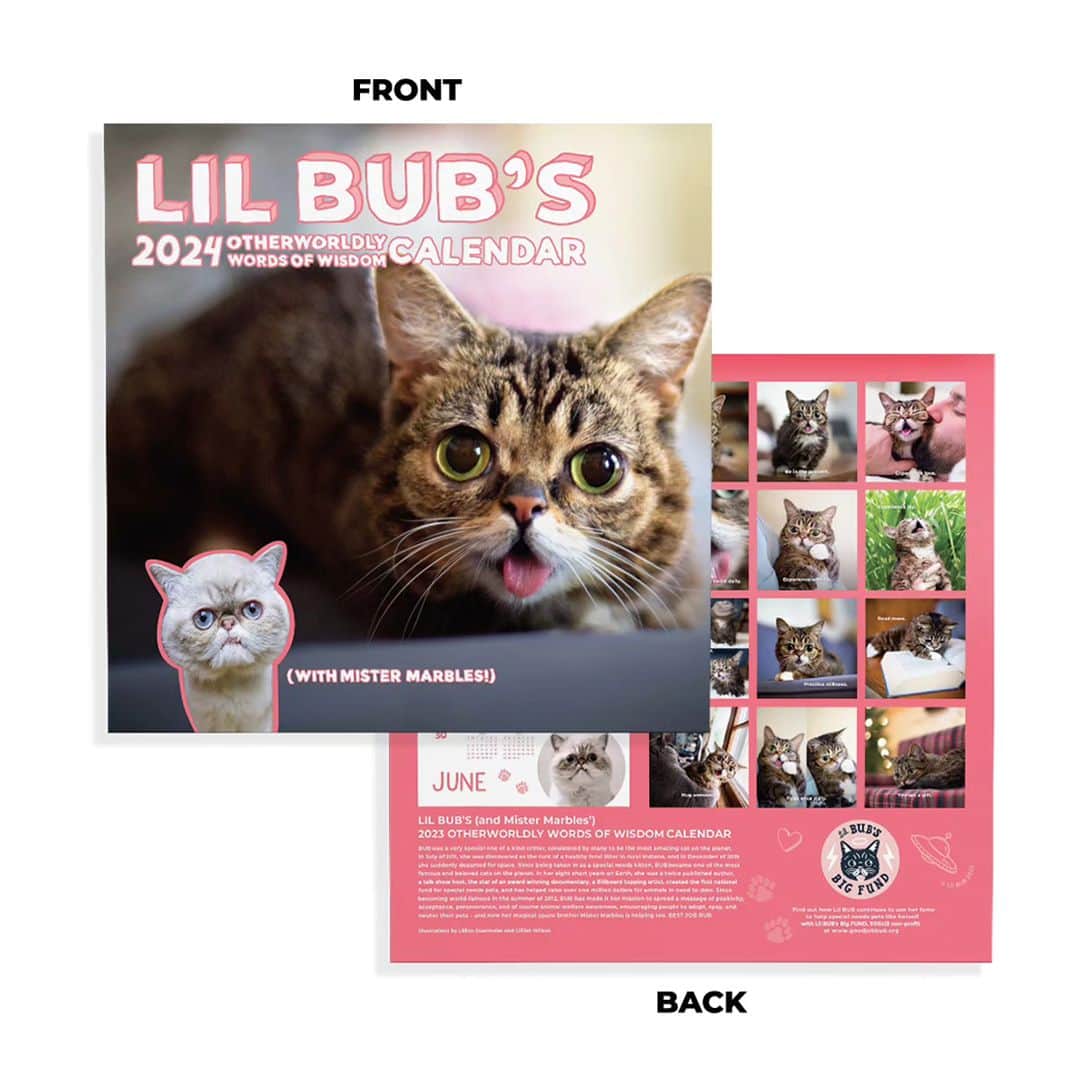 Lil BUBさんのインスタグラム写真 - (Lil BUBInstagram)「Happy GOOD JOB BUB DAY! 2024 ...