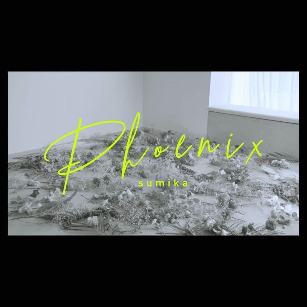 片岡健太さんのインスタグラム写真 - (片岡健太Instagram)「sumika / Phoenix ︎ARTWORK CREDIT ...