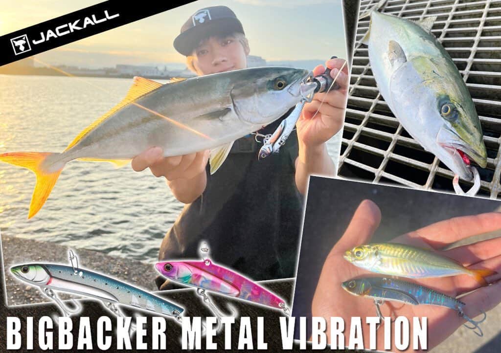 LureNews.TVさんのインスタグラム写真 - (LureNews.TVInstagram)「見極め方や狙い所にオススメルアーなどに必見！若手ショアジガー“金井光輝”の「豆アジパターン講座 ...