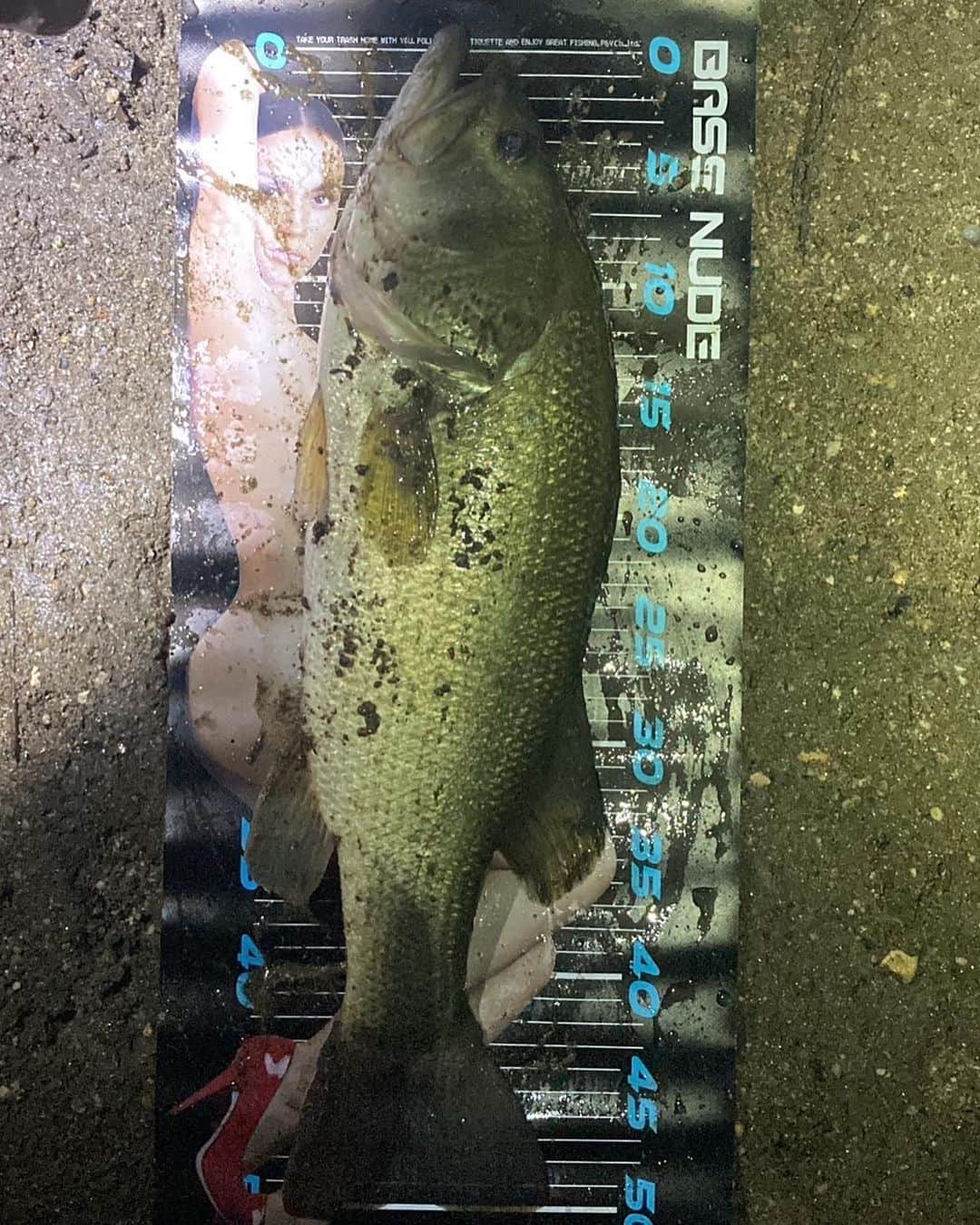 亜生さんのインスタグラム写真 - (亜生Instagram)「でかブラックバス！！！ 50up！2本！！！ 午前中だけで50up2本は大したもんでしょう！！褒めてほしい！！ しかもダッジと ...