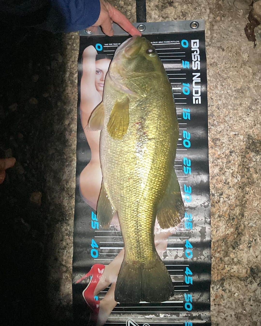 亜生さんのインスタグラム写真 - (亜生Instagram)「でかブラックバス！！！ 50up！2本！！！ 午前中だけで50up2本は大したもんでしょう！！褒めてほしい！！ しかもダッジと ...