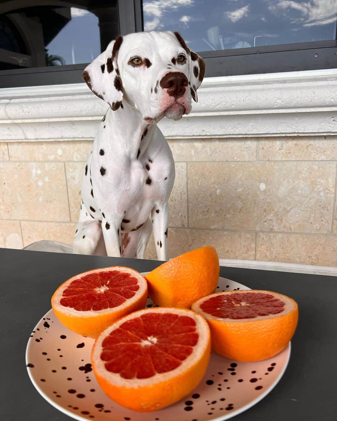 Amanda Cernyさんのインスタグラム写真 - (Amanda CernyInstagram)「Don’t bring me ...